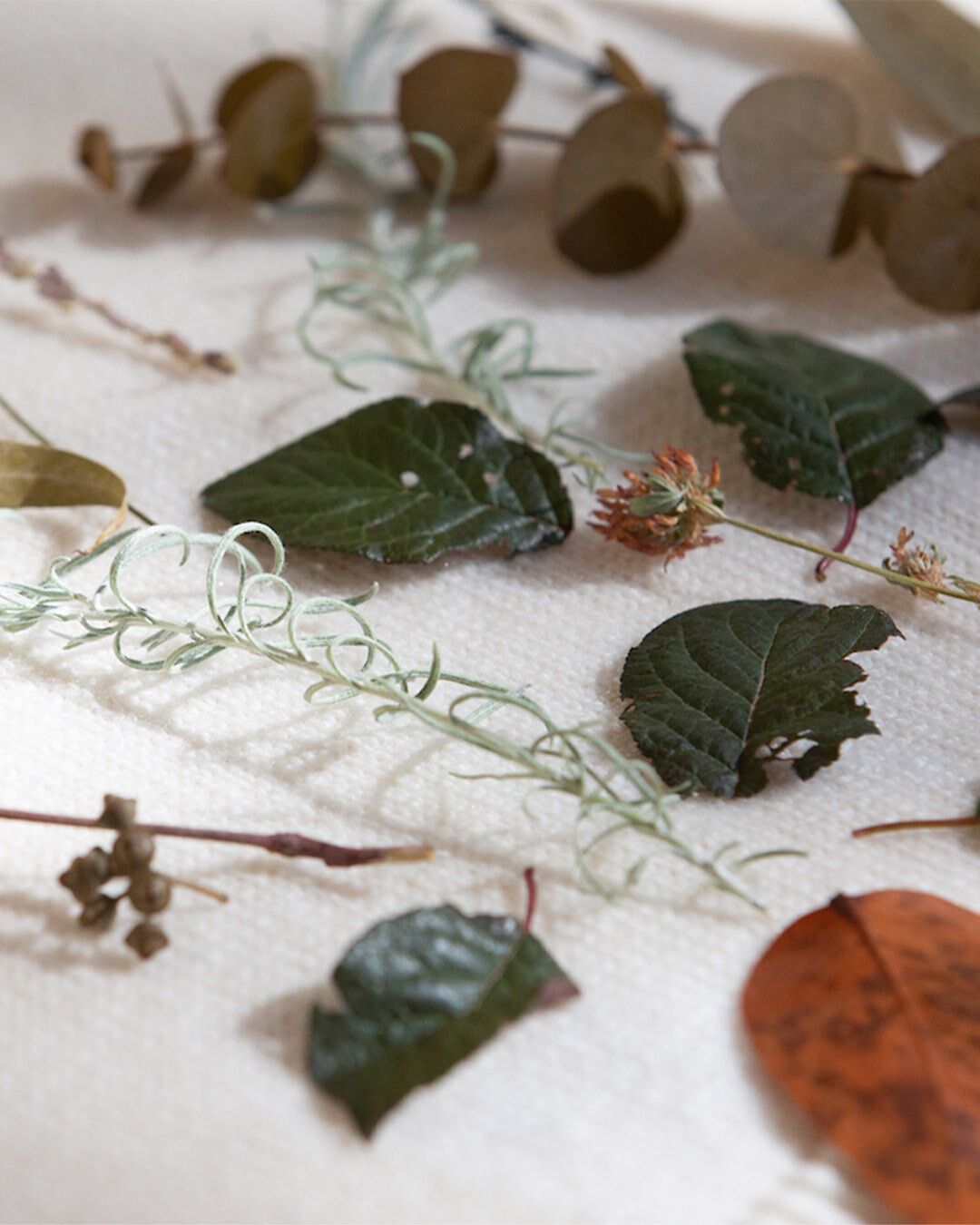 Environment - news-savoir-faire - Fashion & Accessories | DIOR
