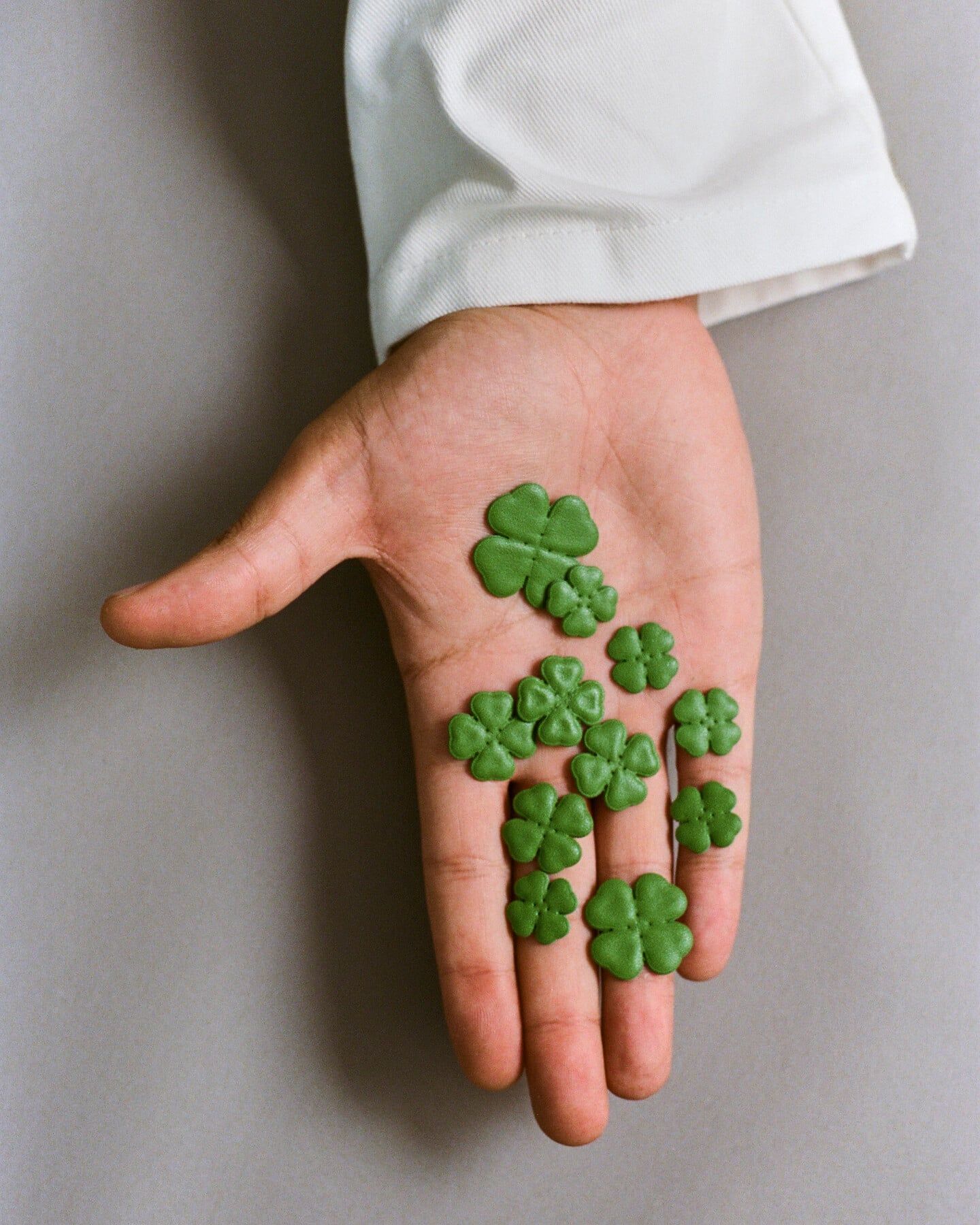 The Lady Dior Clover - news-savoir-faire - Fashion & Accessories | DIOR
