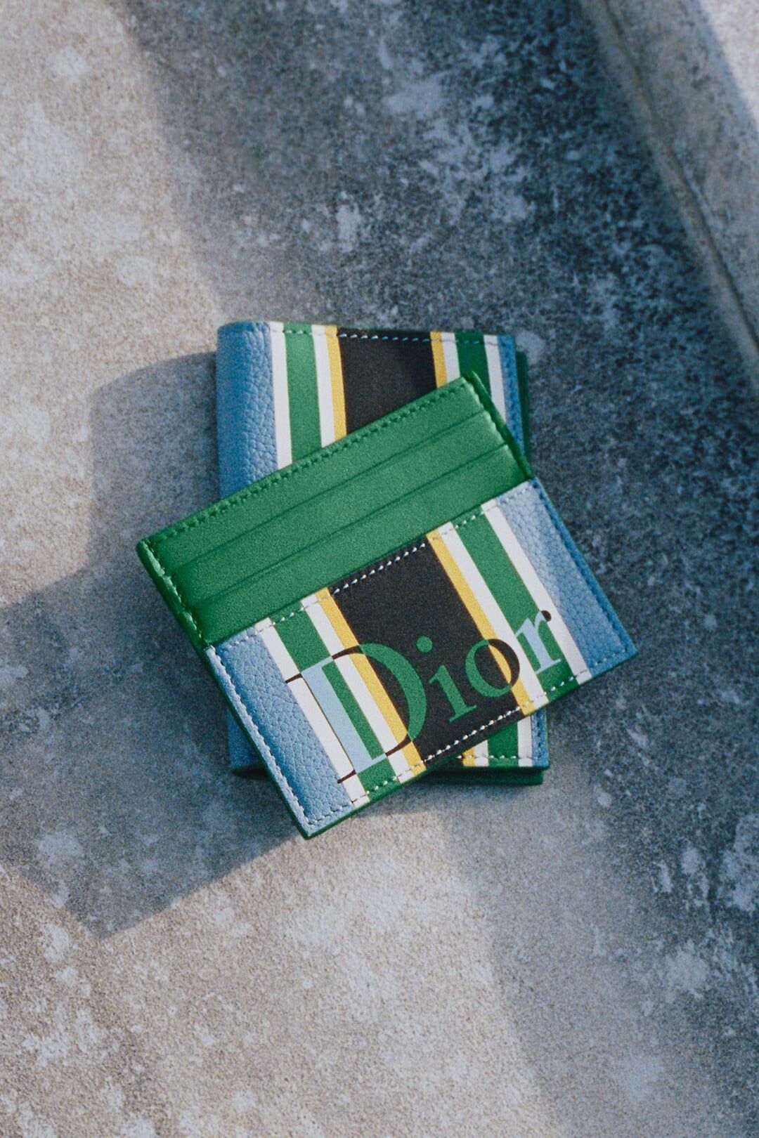 Card Holders - Small leather goods - Man | DIOR AE| DIOR