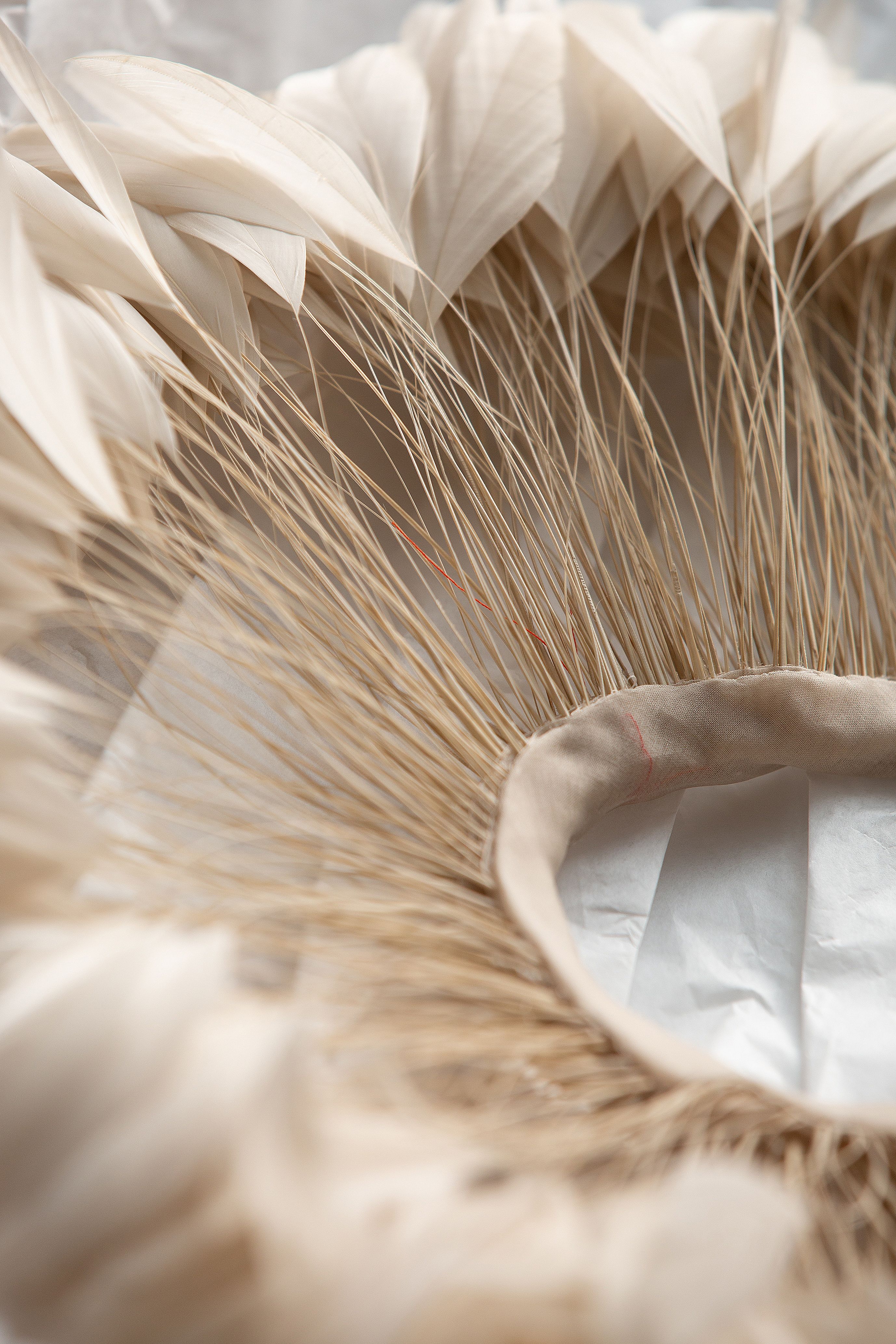 Spring-Summer 2023 Haute Couture Show - 女士精品 - Fashion & Accessories | DIOR