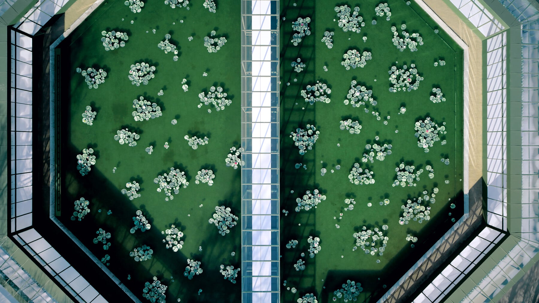 Autumn Winter 2026-2027 Show - womens-fashion - Fashion & Accessories ...